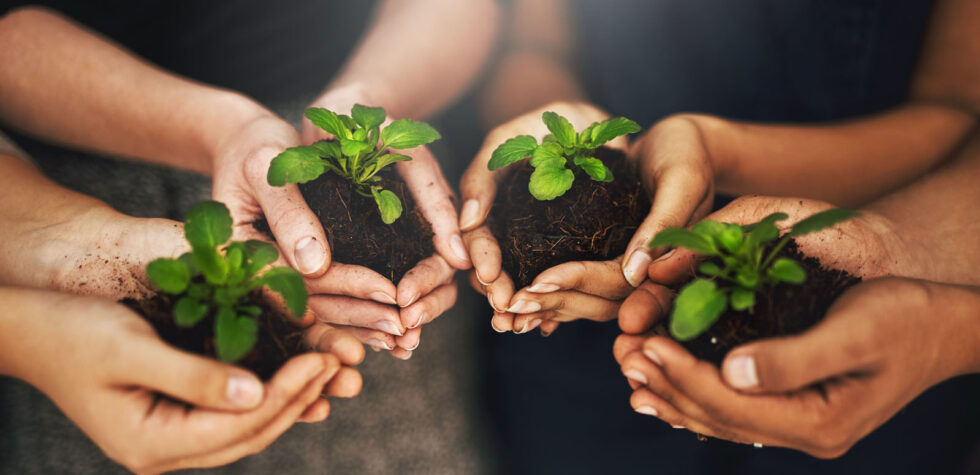 Environmental Stewardship & Sustainability | Brock Dining Services