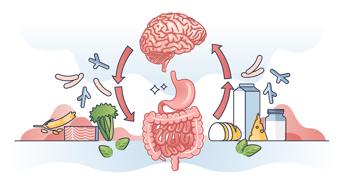 Understanding the Connection Between Your Gut and Brain - Brock ...